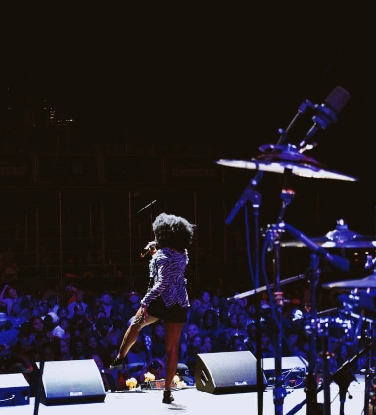 Efya struck the crowd in awe with her stunning performance at the Palm ...